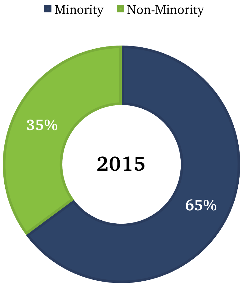 2015-minority-chart - BridgeWork Partners